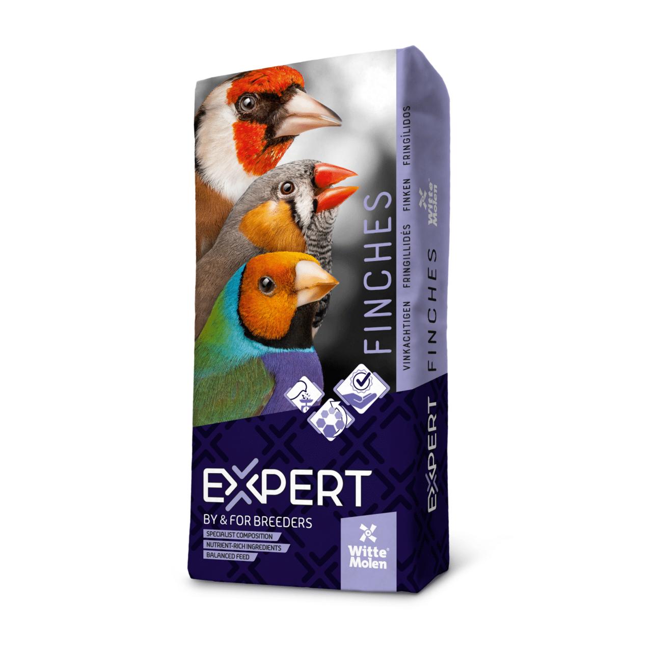 Witte Molen - Pocurull